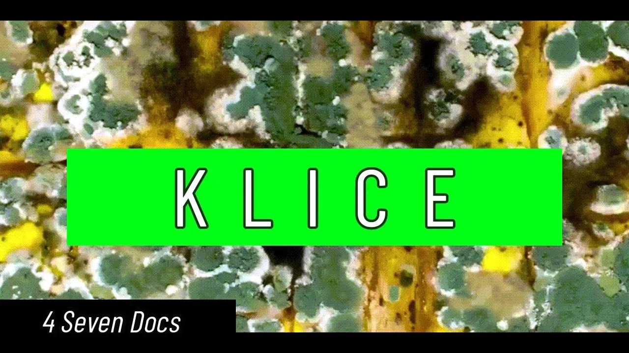 Germs (Klice)