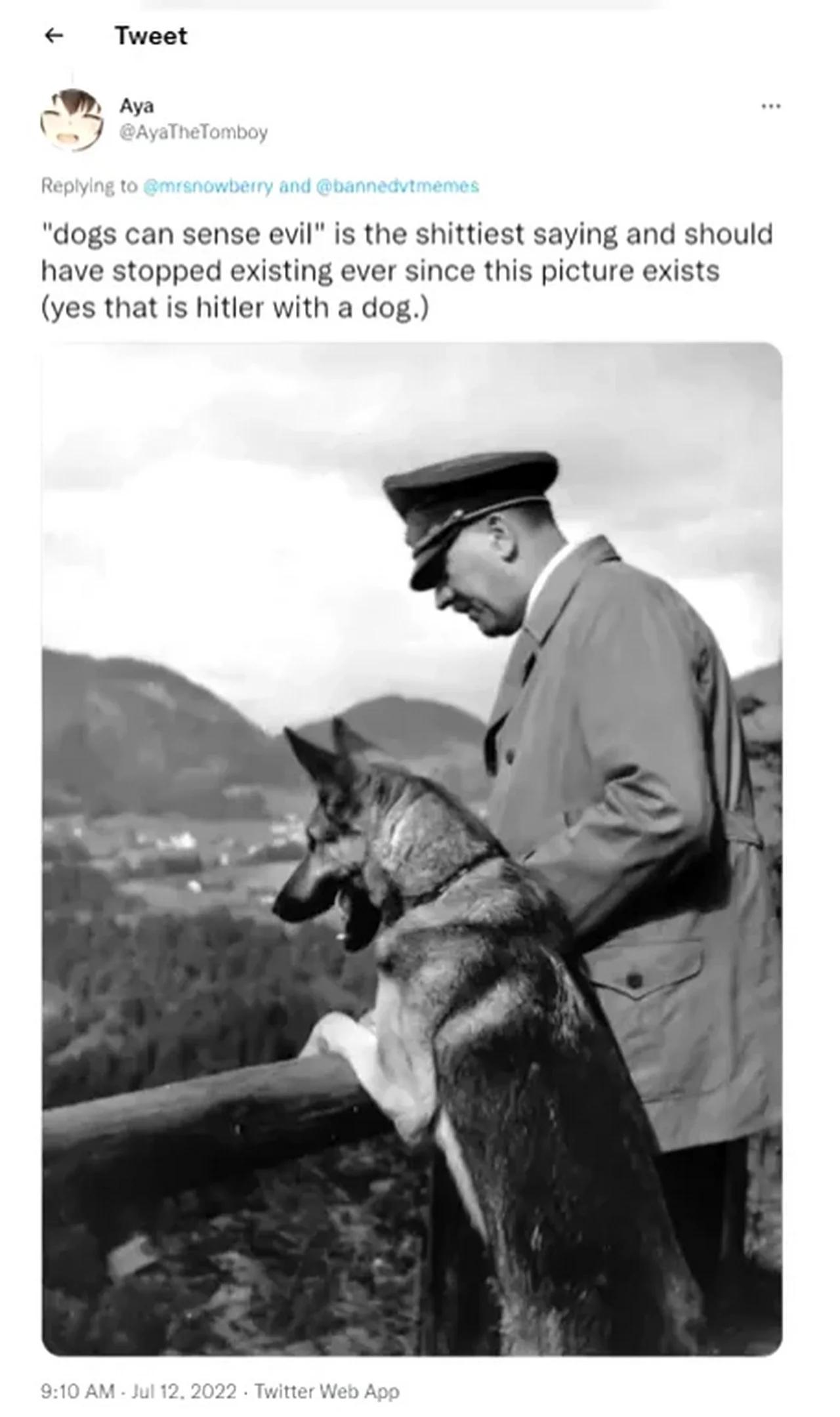 Dogs can sense evil.