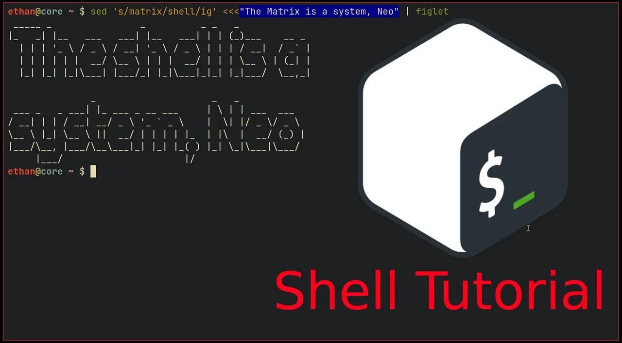Tips and Tricks to Shell Efficiency