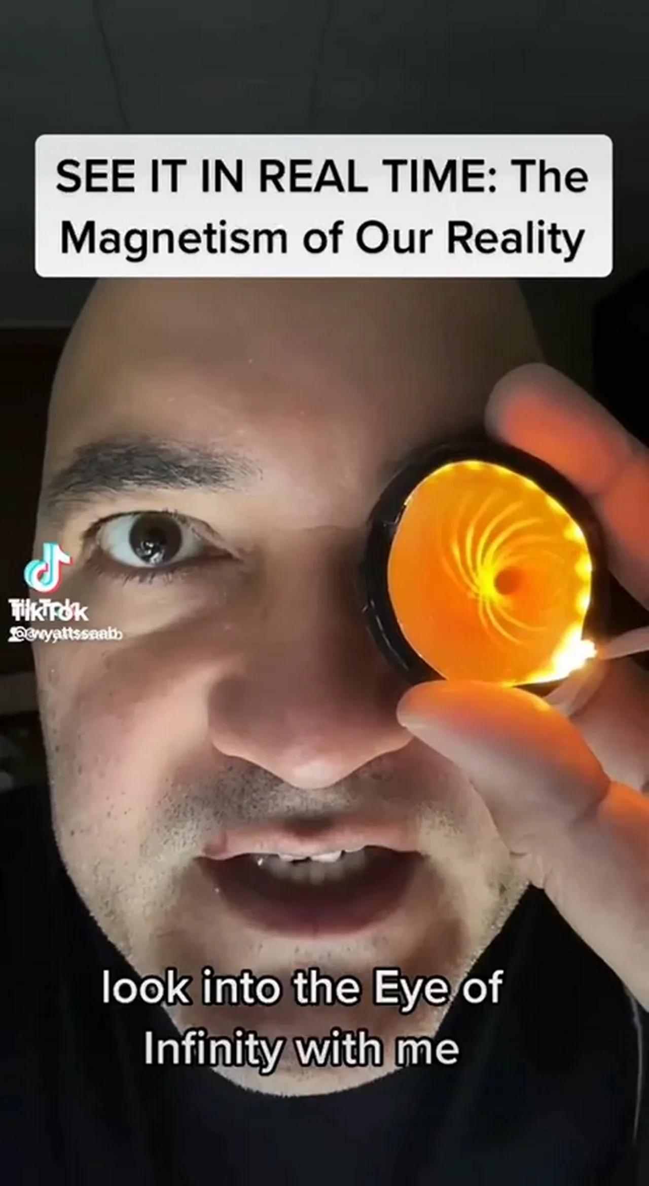 The Ferrocell: Magnetic field viewer