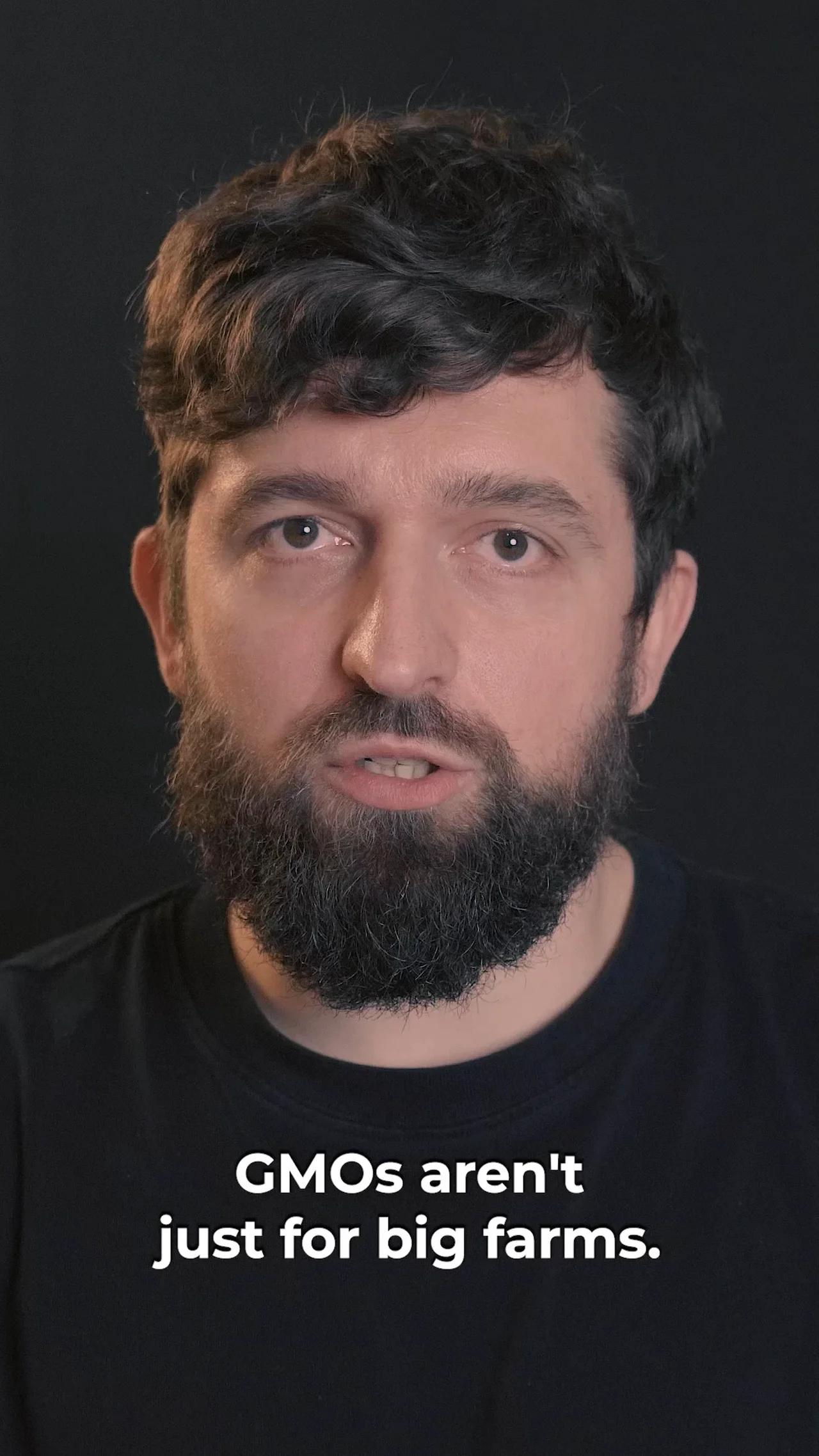 Are GMOs Good for Developing Countries?