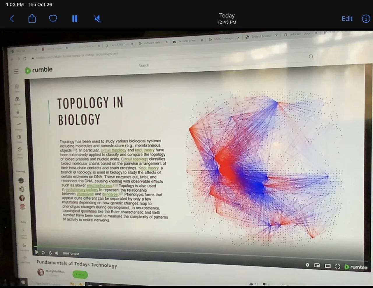 Thz networks in the body w/ video support