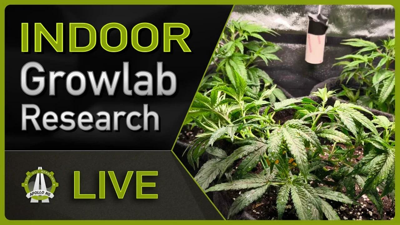 Growlab POD1 Live-Feed