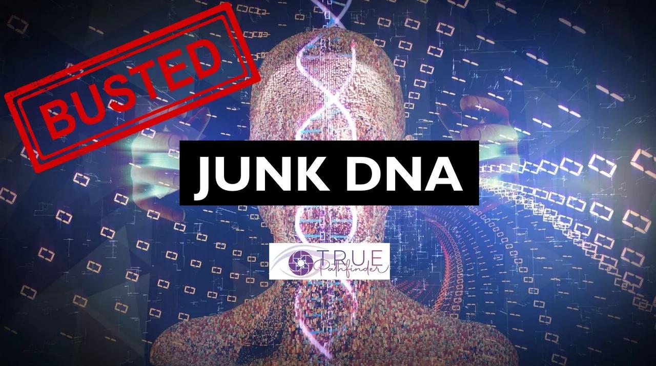 DEBUNKING THE MYTH OF JUNK DNA | True Pathfinder