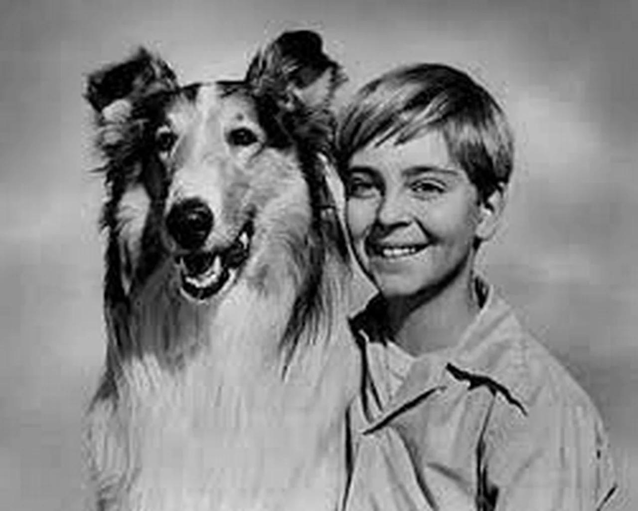 Lassie (Series Programas y Dibujos de nuestra Infancia) September 12, 1954