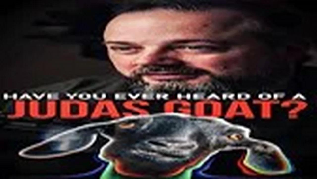 judas goat