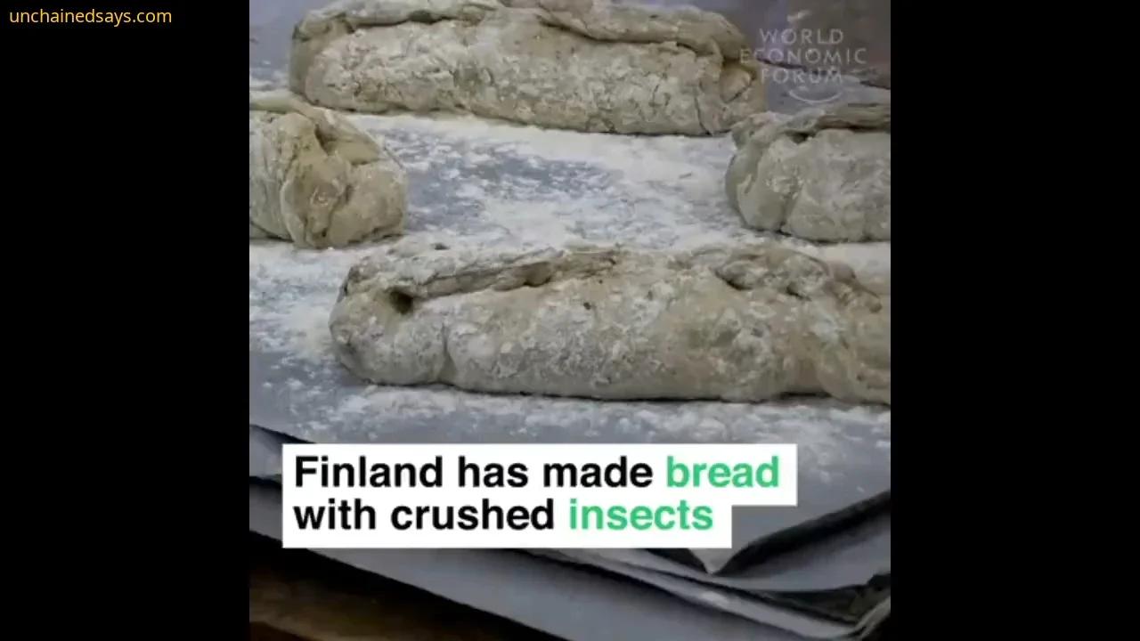 Finland Makes Insect Bread