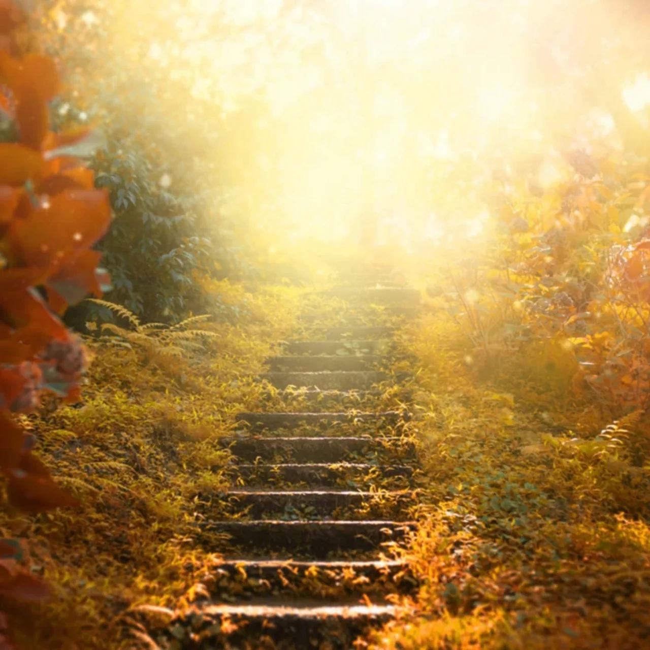 Highly Sensitive Wisdom