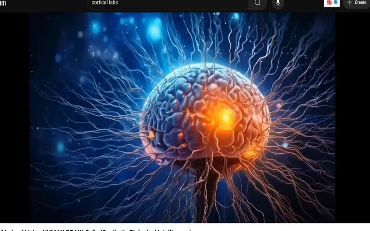 AI Made From HUMAN BLOOD! Miry Clay Cleaved To Iron!!