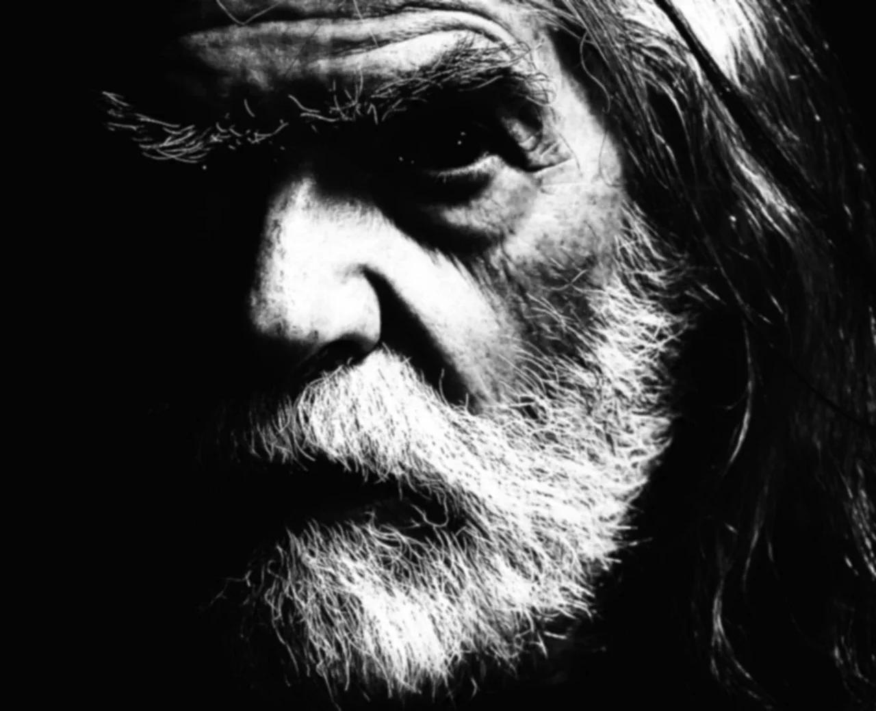 THE DREAD PIRATE WOLF REPORT