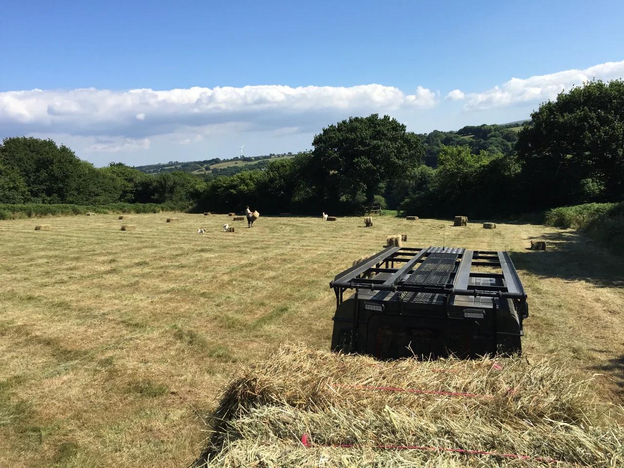 Pastor Bob Jones Update 2023-07-17