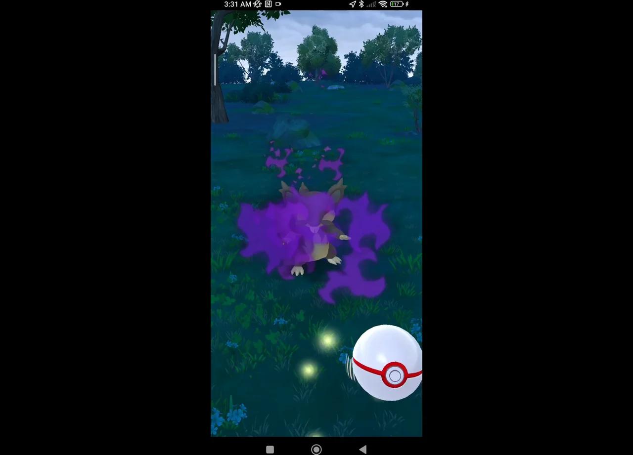 Pokémon GO-Shadow Alolan Rattata