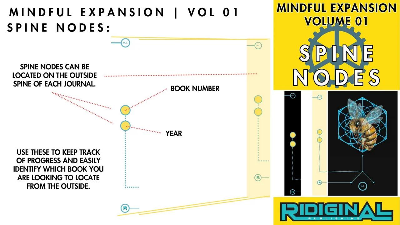 Spine Nodes | Mindful Expansion | Volume 01