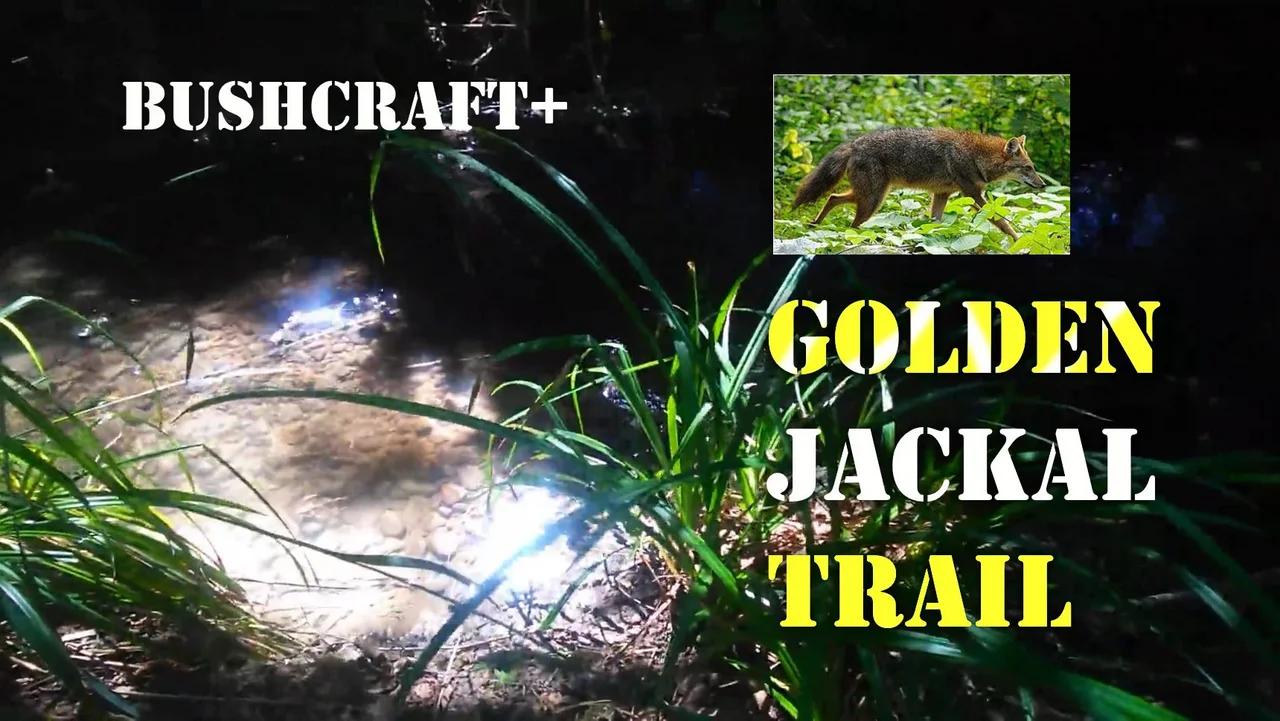 Golden Jackal Trail - deserted places within