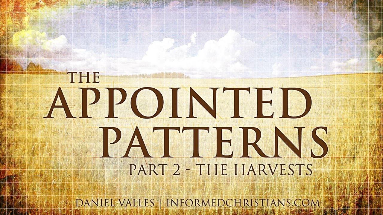 The Appointed Patterns - The Harvests
