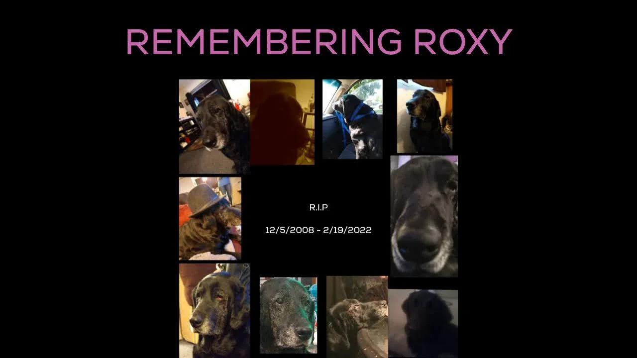 Remembering Roxy