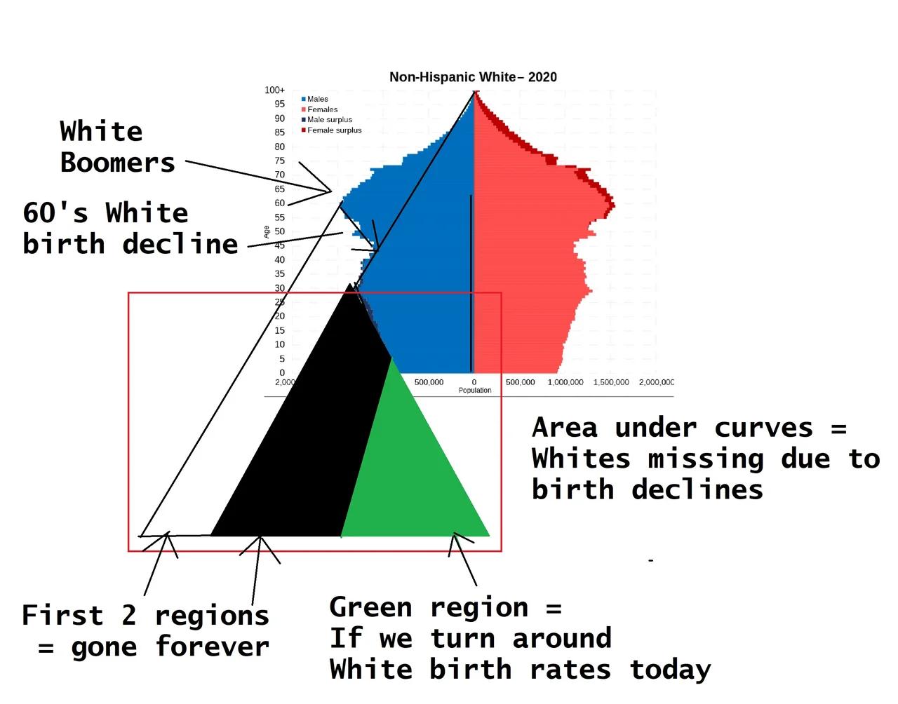 Missing White Population Pyramid