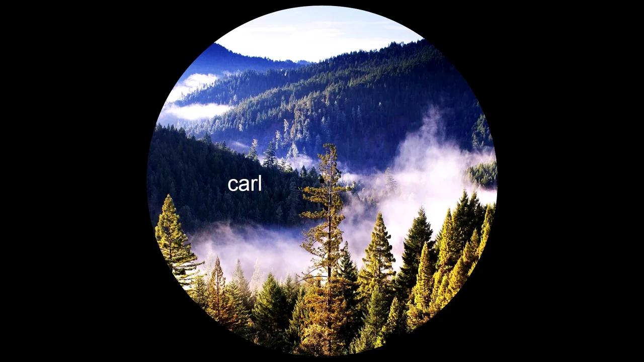 [2020.03.31] [carl iii] [Carl - Green] (66-148, 116-299)