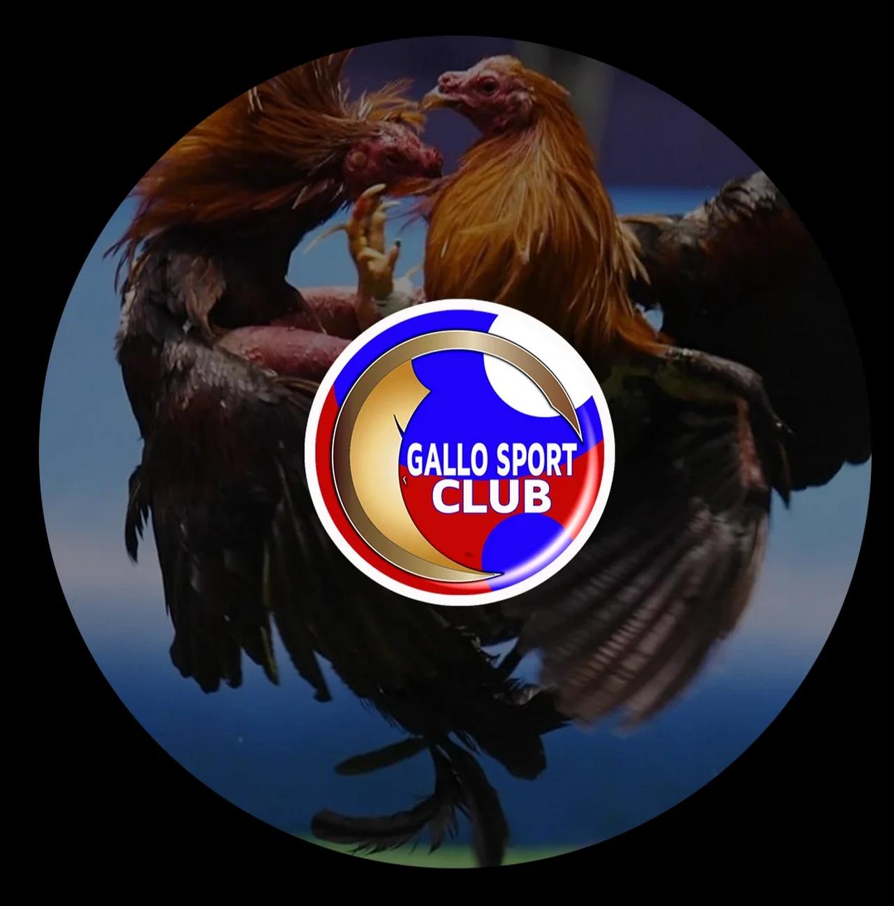 Gallo Sport Club