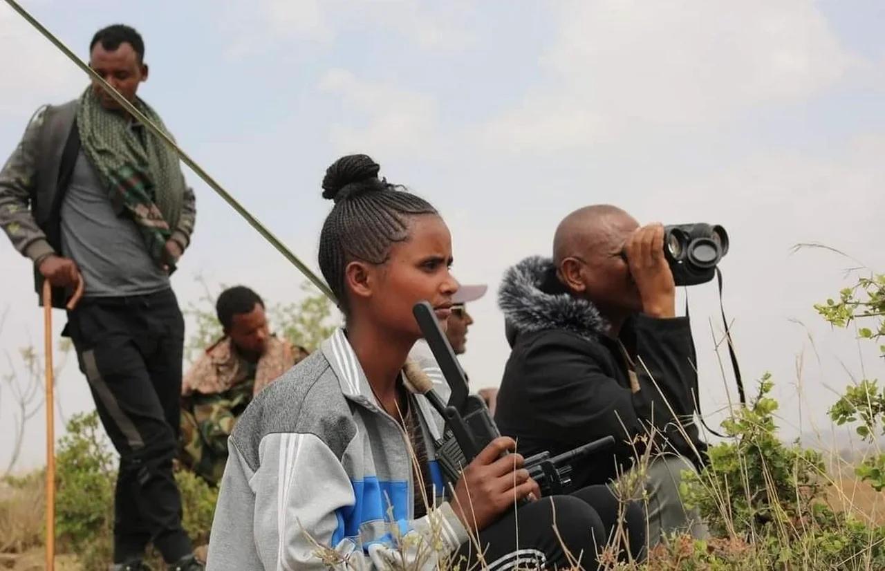 Tigray Defence Forces Poetry