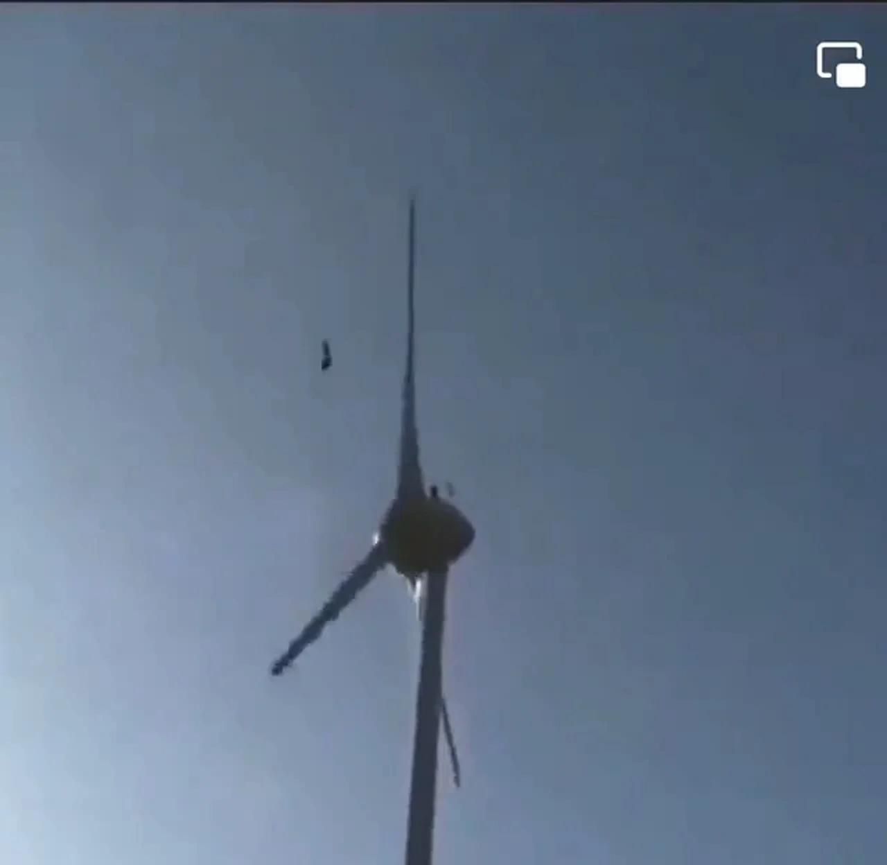 Windmill Kills Eagle