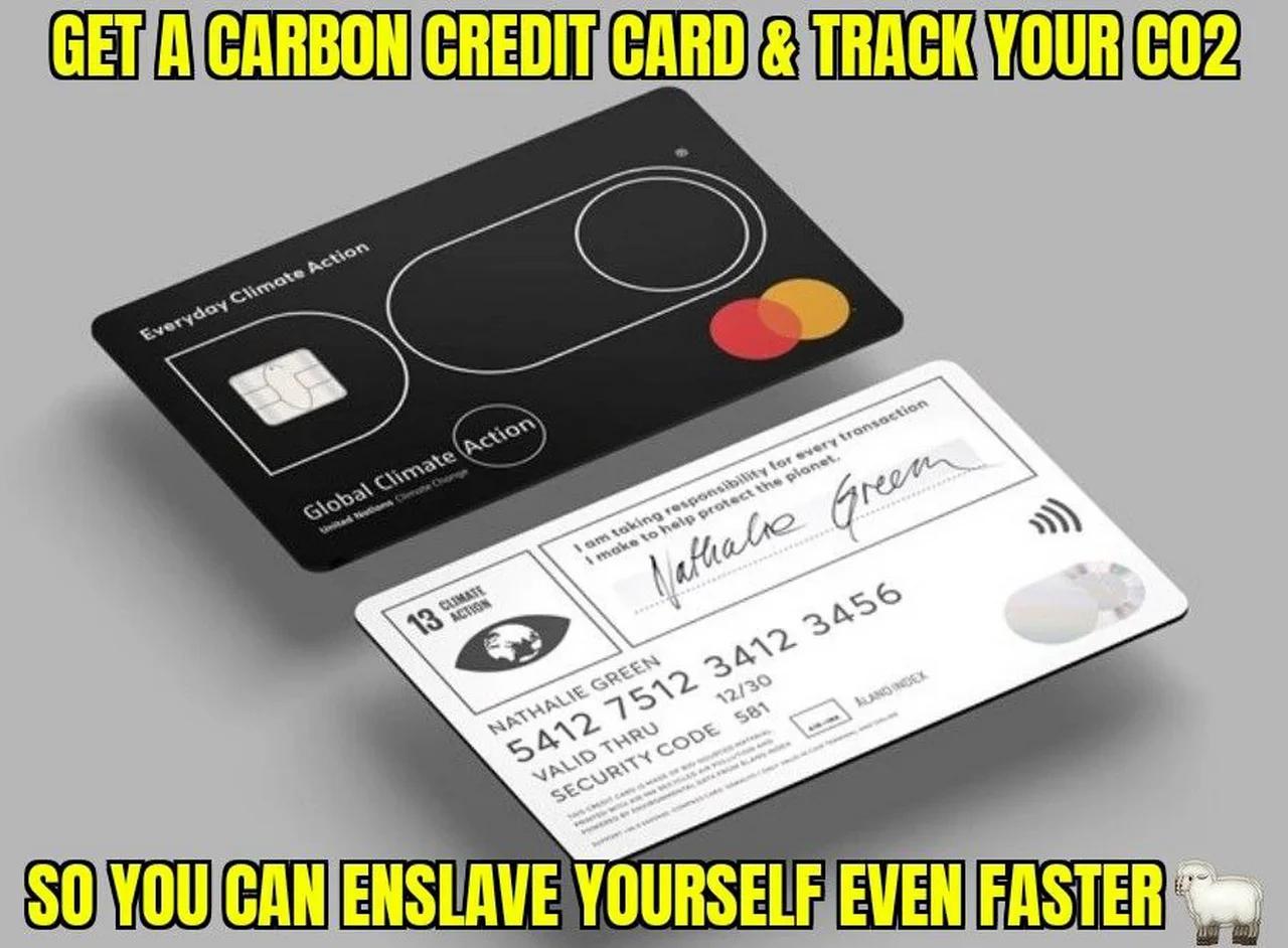 "CARBON CREDIT CARDS" THAT STOP YOUR PURCHASES AFTER YOU REACH YOUR CO2 ...