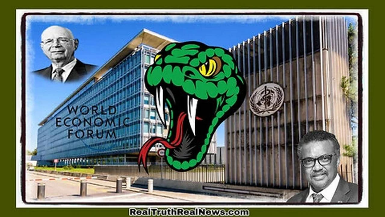 🌐🏙️ Massive Building Complexes For the WHO and WEF Are Being ...