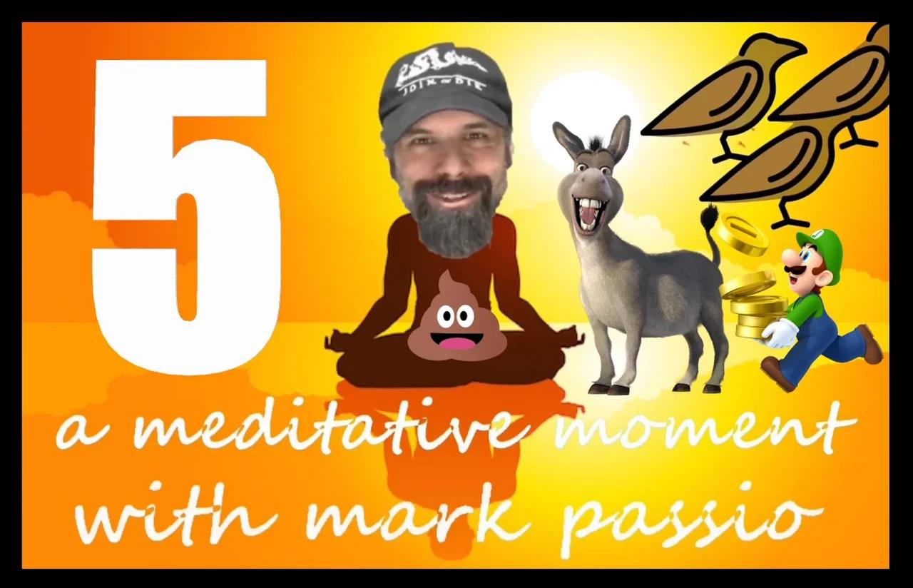 A Meditative Moment With Mark Passio 5