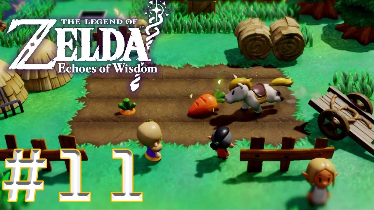 Zelda Echoes of Wisdom FR #11 : Le Cheval de Zelda, des failles et du dodo