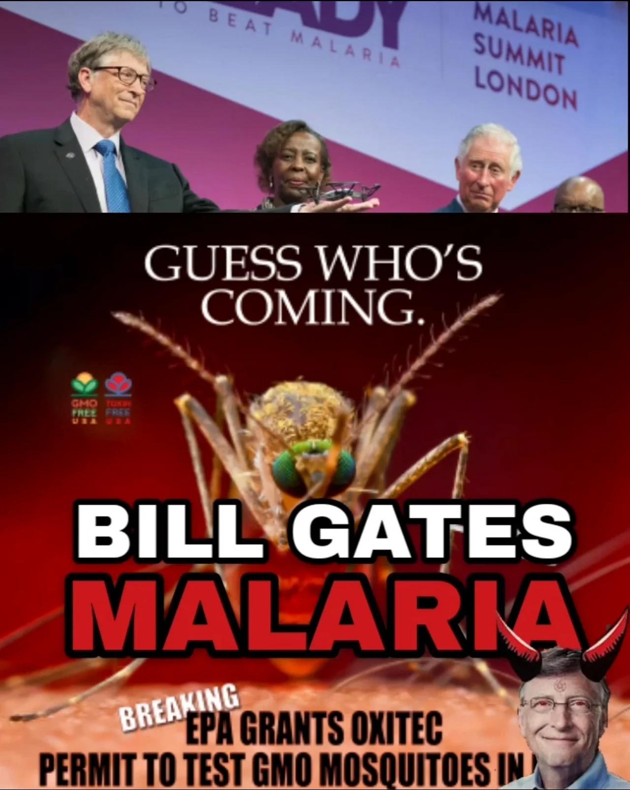 𝗕𝗜𝗟𝗟 𝗚𝗔𝗧𝗘𝗦: 𝗠𝗔𝗟𝗔𝗥𝗜𝗔 🦟💉🩸☠