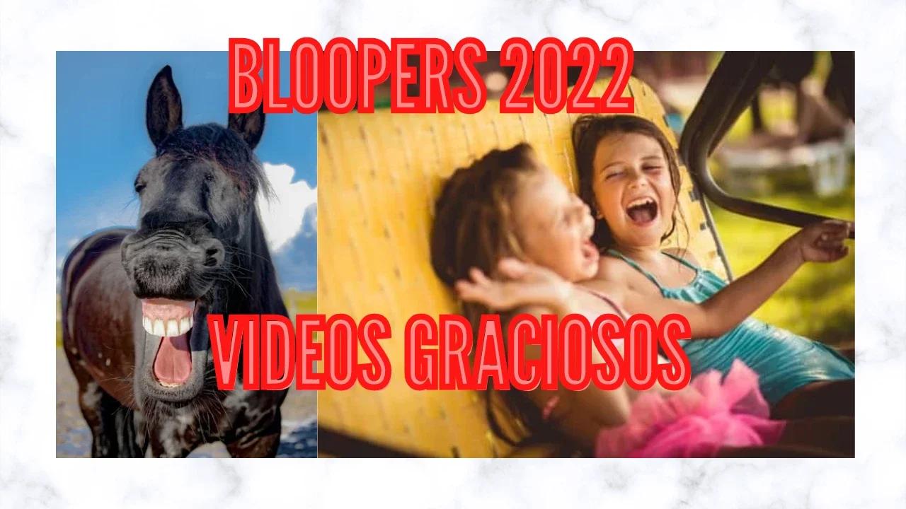 VIDEOS DE RISA VIDEOS GRACIOSOS