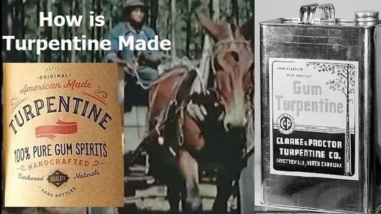 How is Turpentine Made Documentary From The 1940s