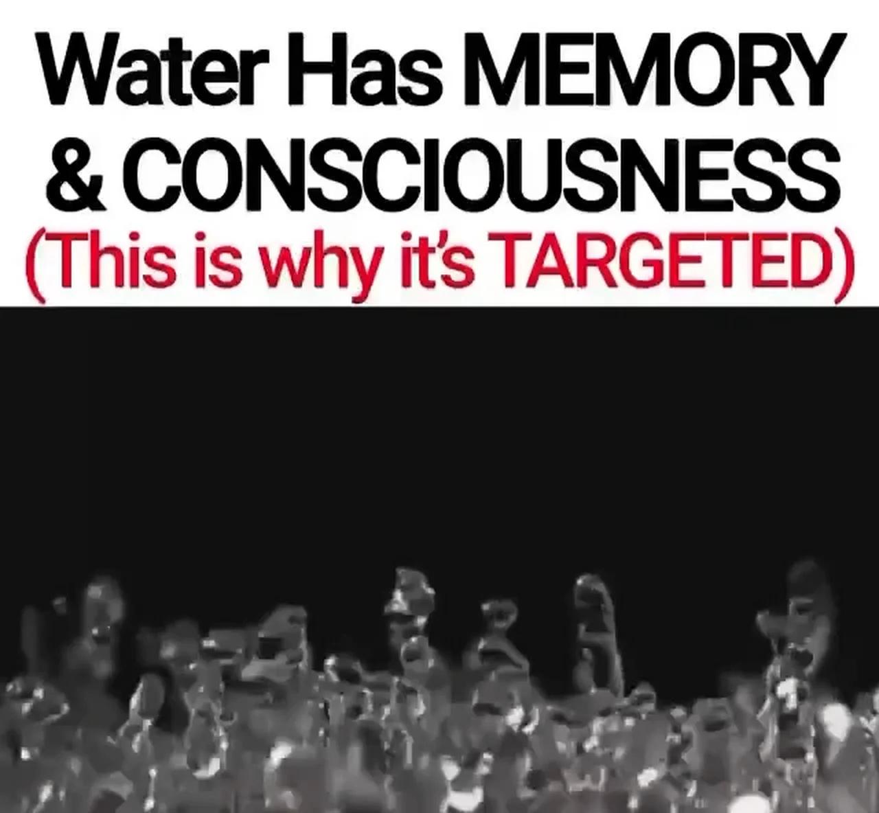 Water Has Memory & Consciousness