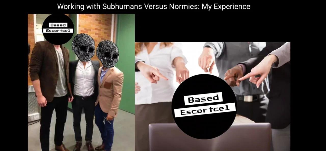 BasedEscortcel- Working With Subhuman Manlets Versus Normies_ My Experience