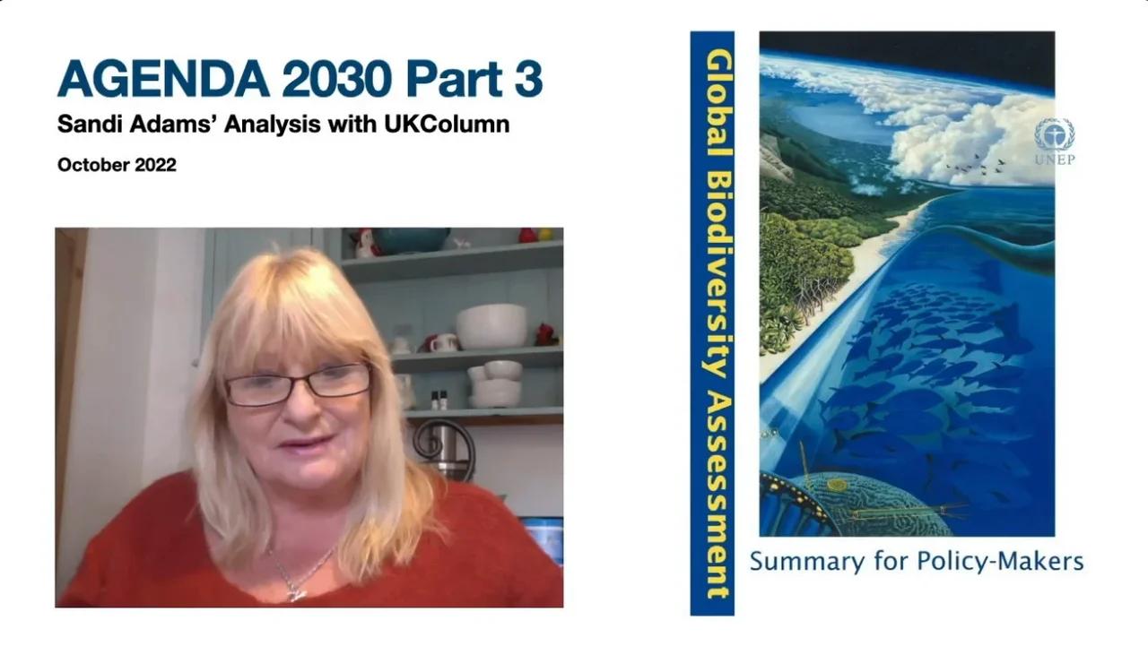 UK Column: Sandi Adams Agenda 2030 - Part 3