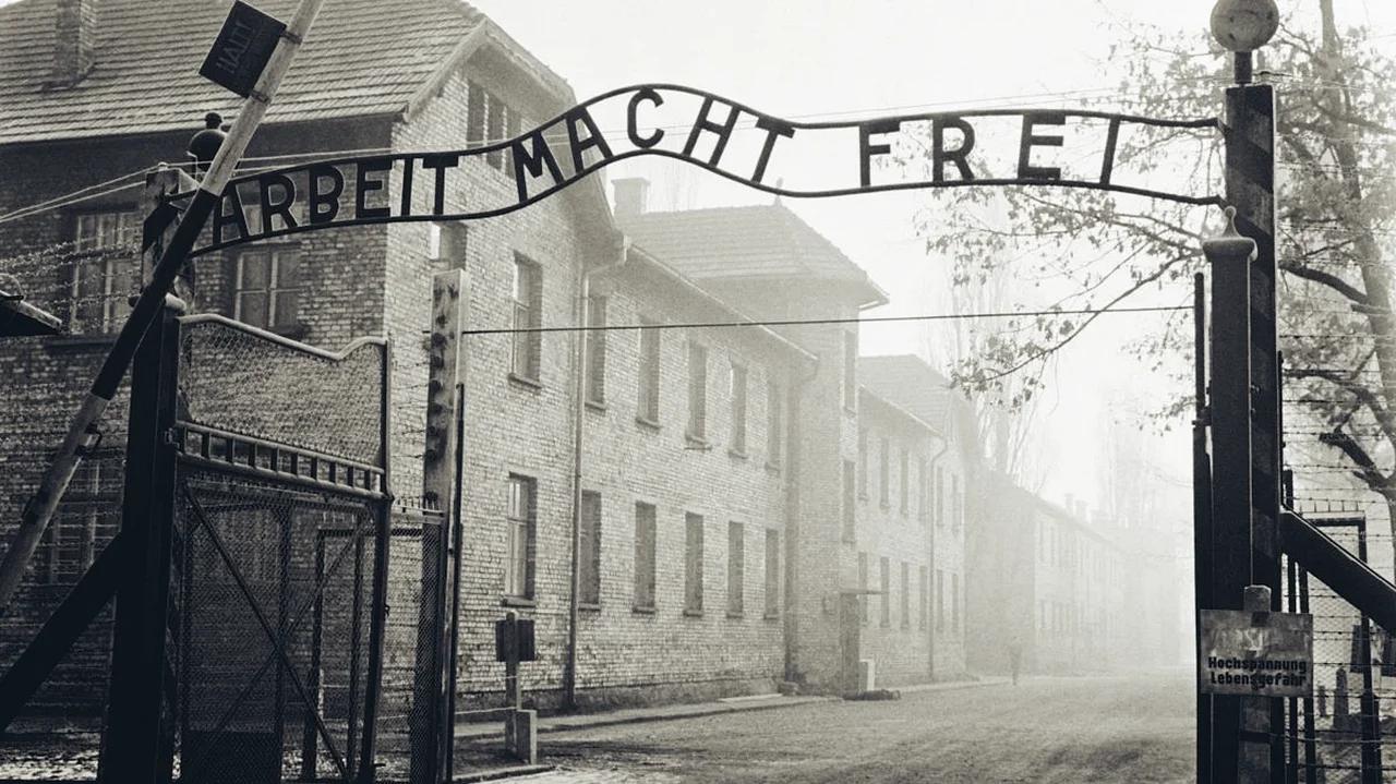 David Cole in Auschwitz (1992 Documentary) | Holocaust Debate | Fact Check