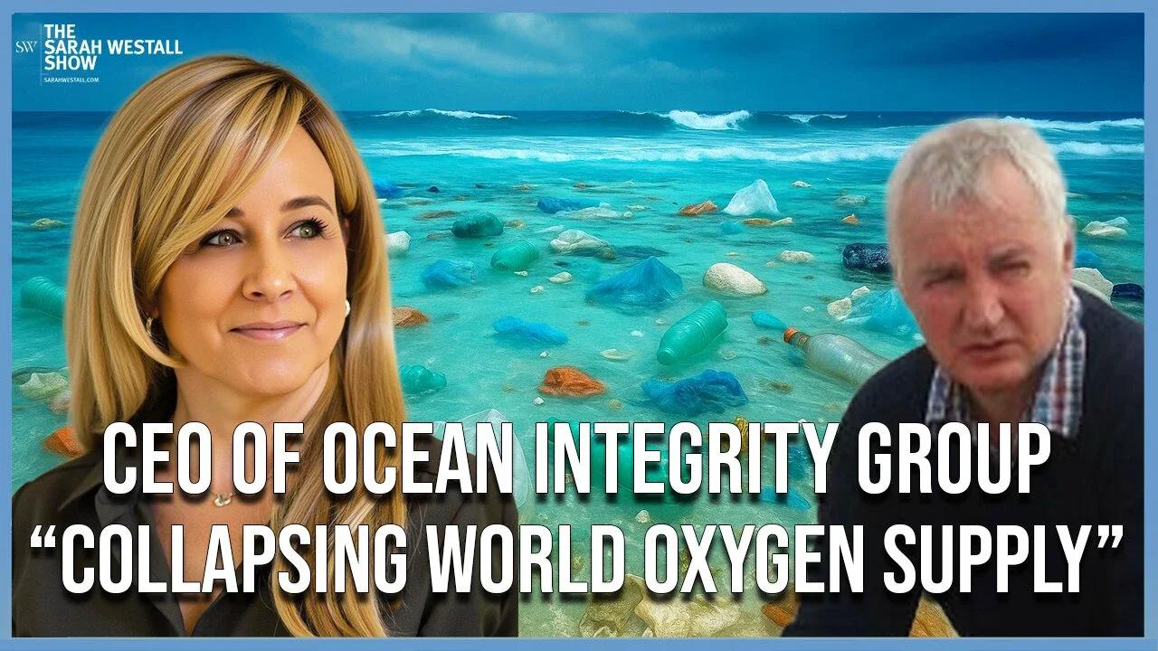 USAID Corruption Plus Collapsing World Oxygen Supply It s NOT CO2 w ...