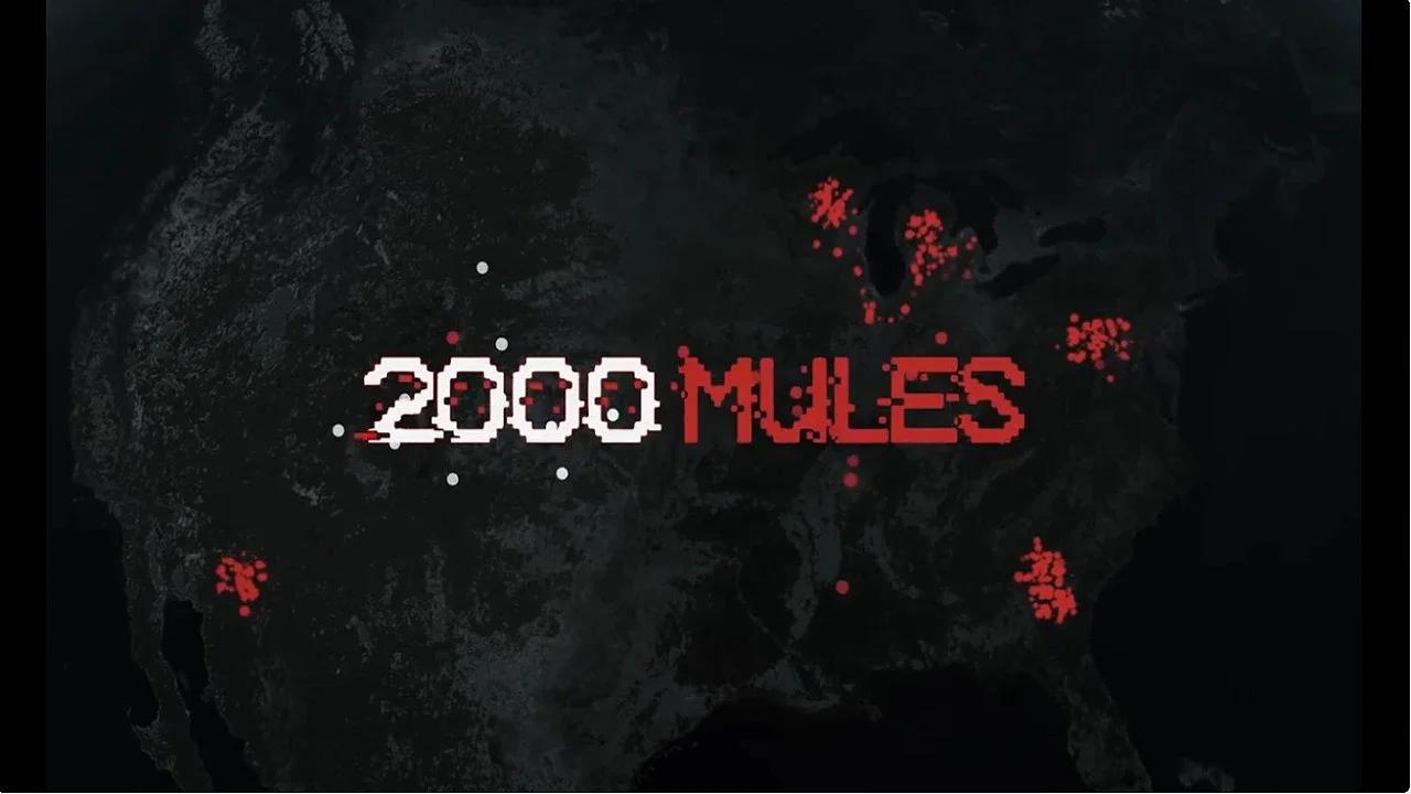 2000 Mules (2022)-Documentary on the criminal voter fraud and ballot ...