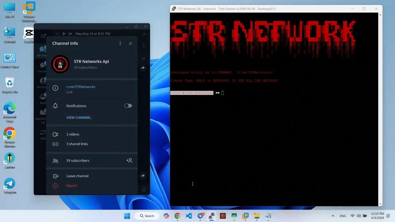 DDOS Attack Botnet c2 Api