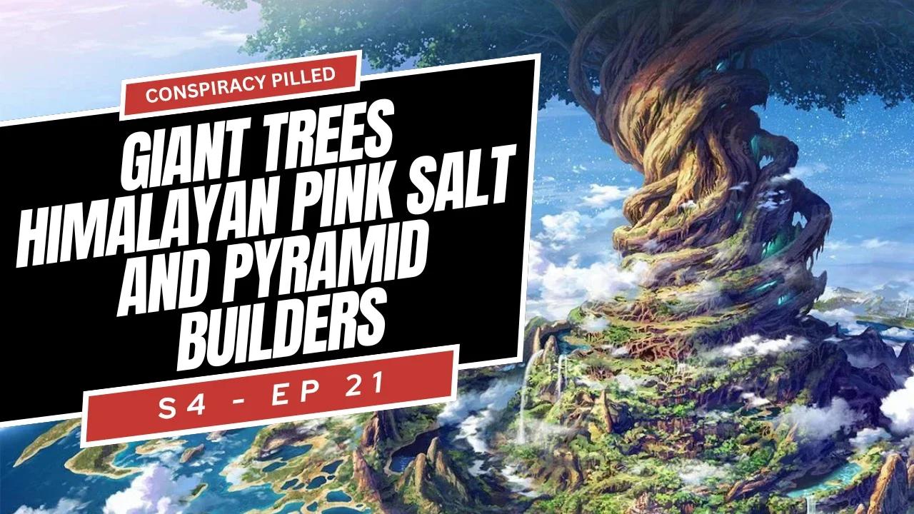 Giant Trees, Himalayan Pink Salt, and Pyramid Builders - CONSPIRACY ...