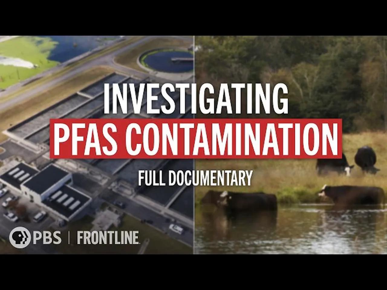 “Contaminated: The Carpet Industry’s Toxic Legacy” (full documentary ...