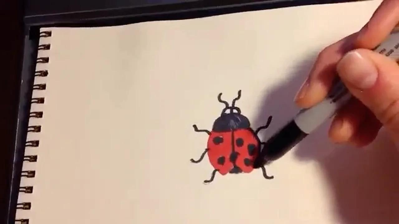 DoodleBug-How to Draw a Ladybug