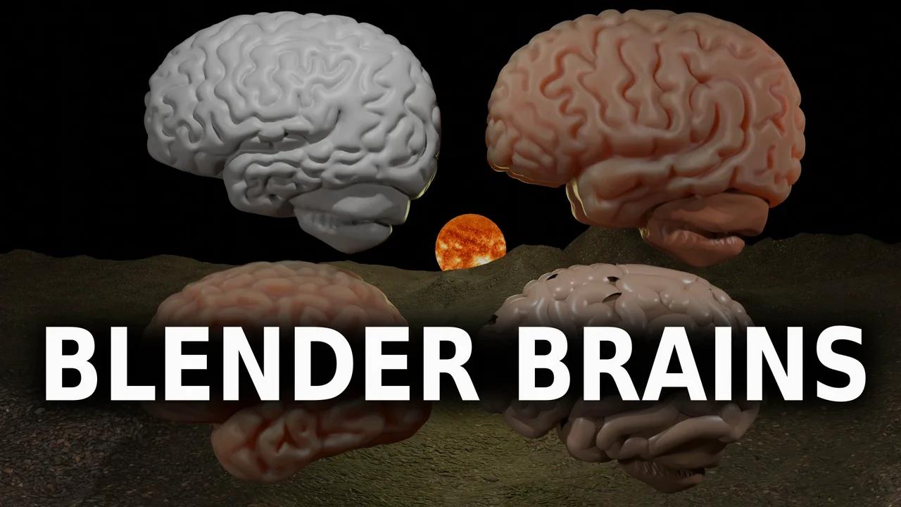 Blender Brains - This is where I will display my Blender Brain Art - 3D Models - Human Brain Model