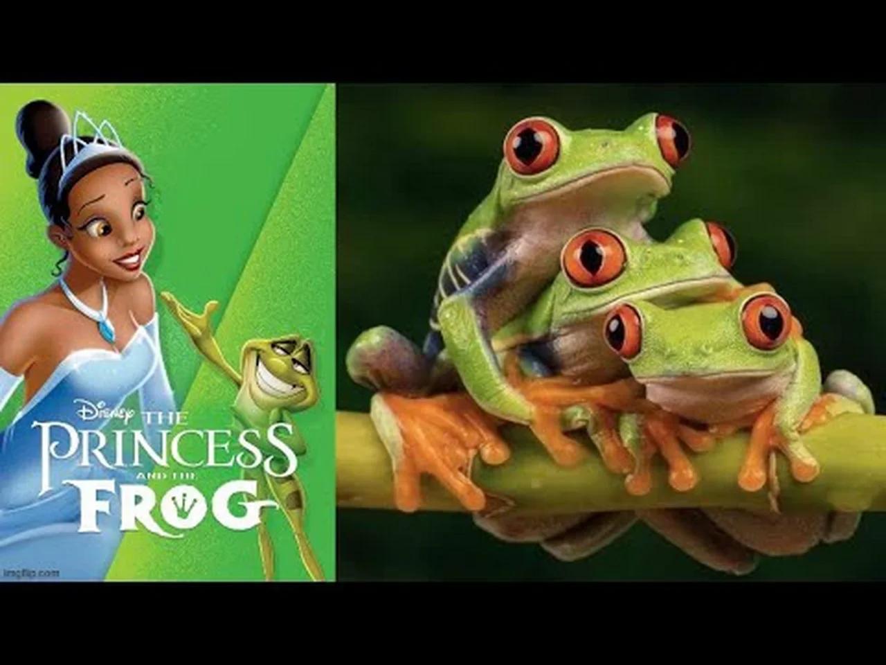 тшгёяс тшг Smhp The Truth About 3 Unclean Spirits Out Of The Mouth Like Frogs