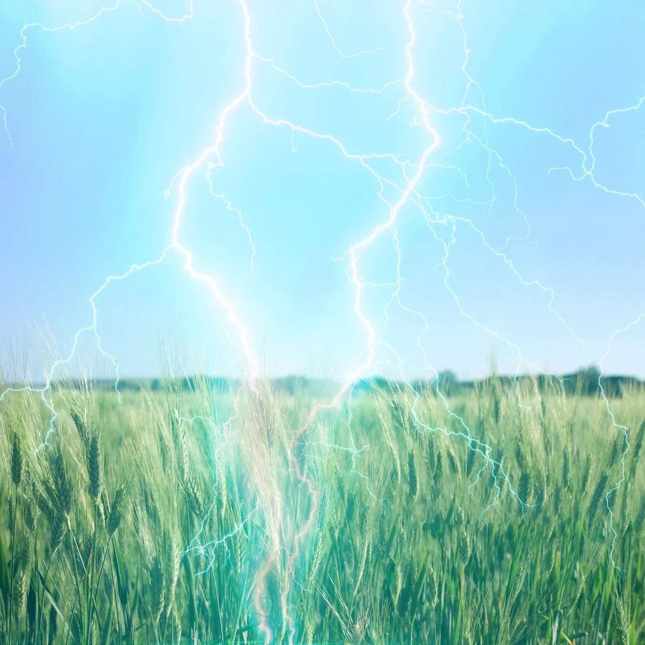 IA - Electroculture 101 & The Power To Cultivate Our Own with Matt ...