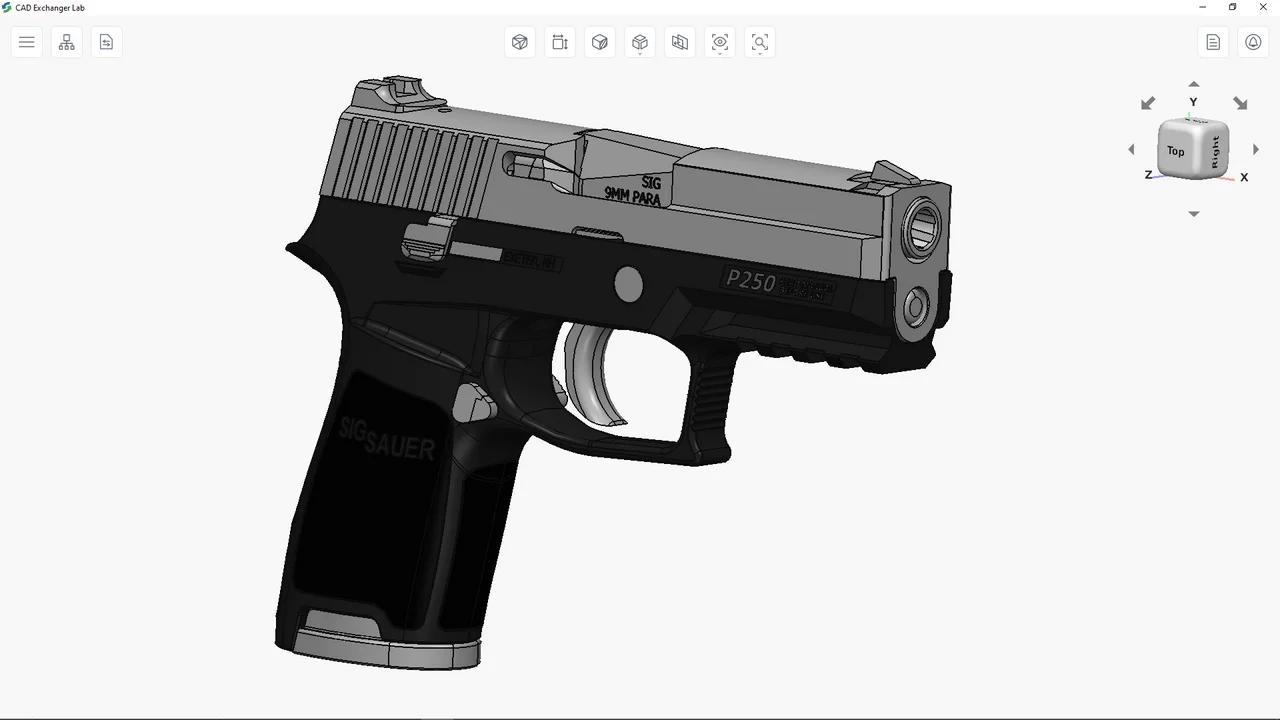 SIG P250 Reference Model