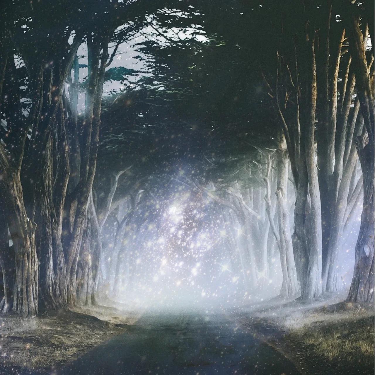 Neo-Shamanism For A New Era w/ Joel Schafer