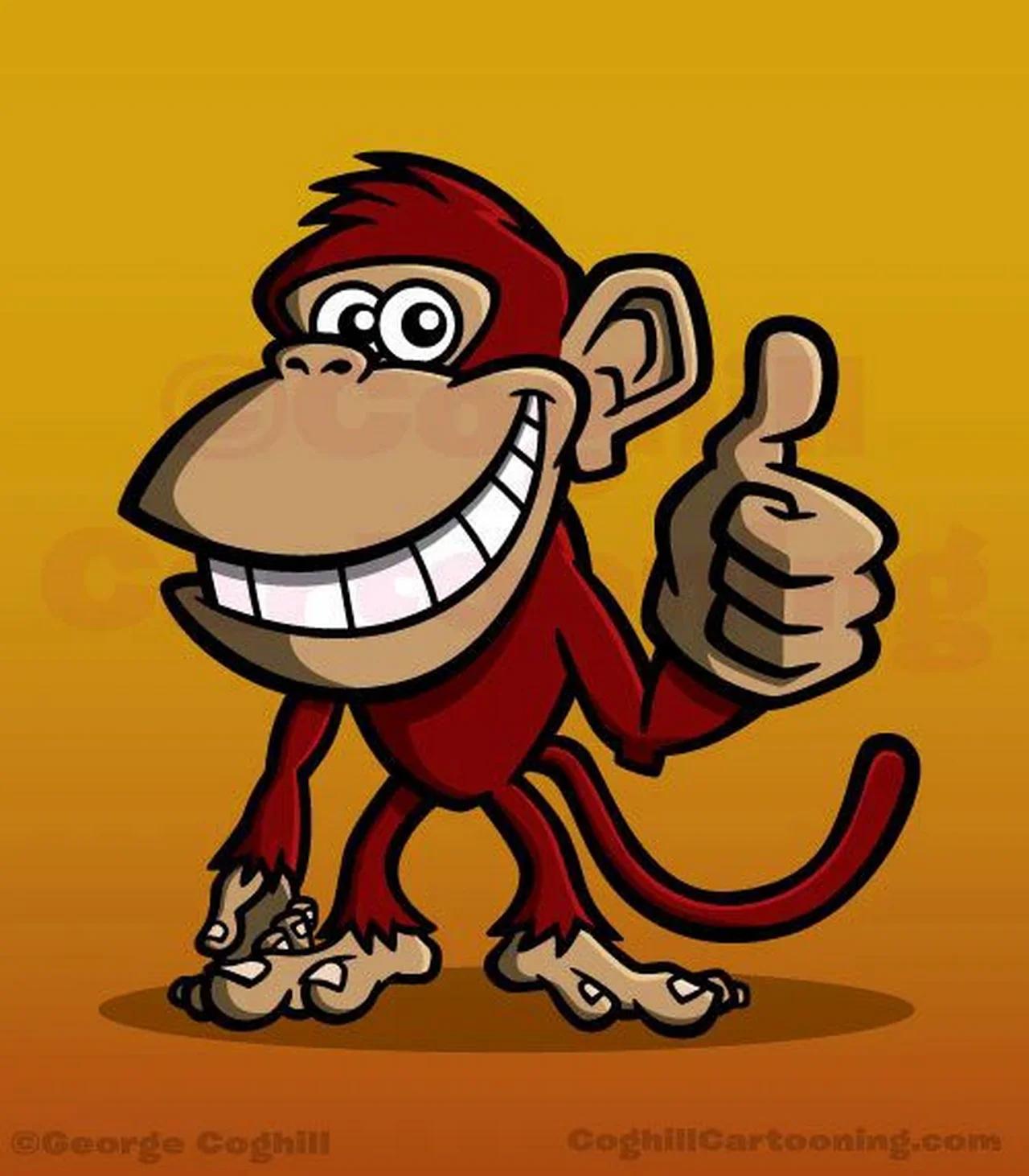 Monkey Station