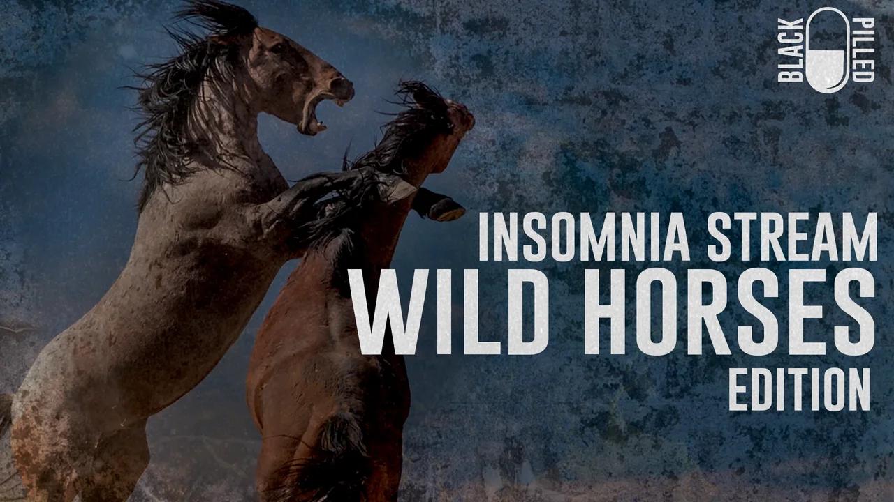 INSOMNIA STREAM: WILD HORSES EDITION