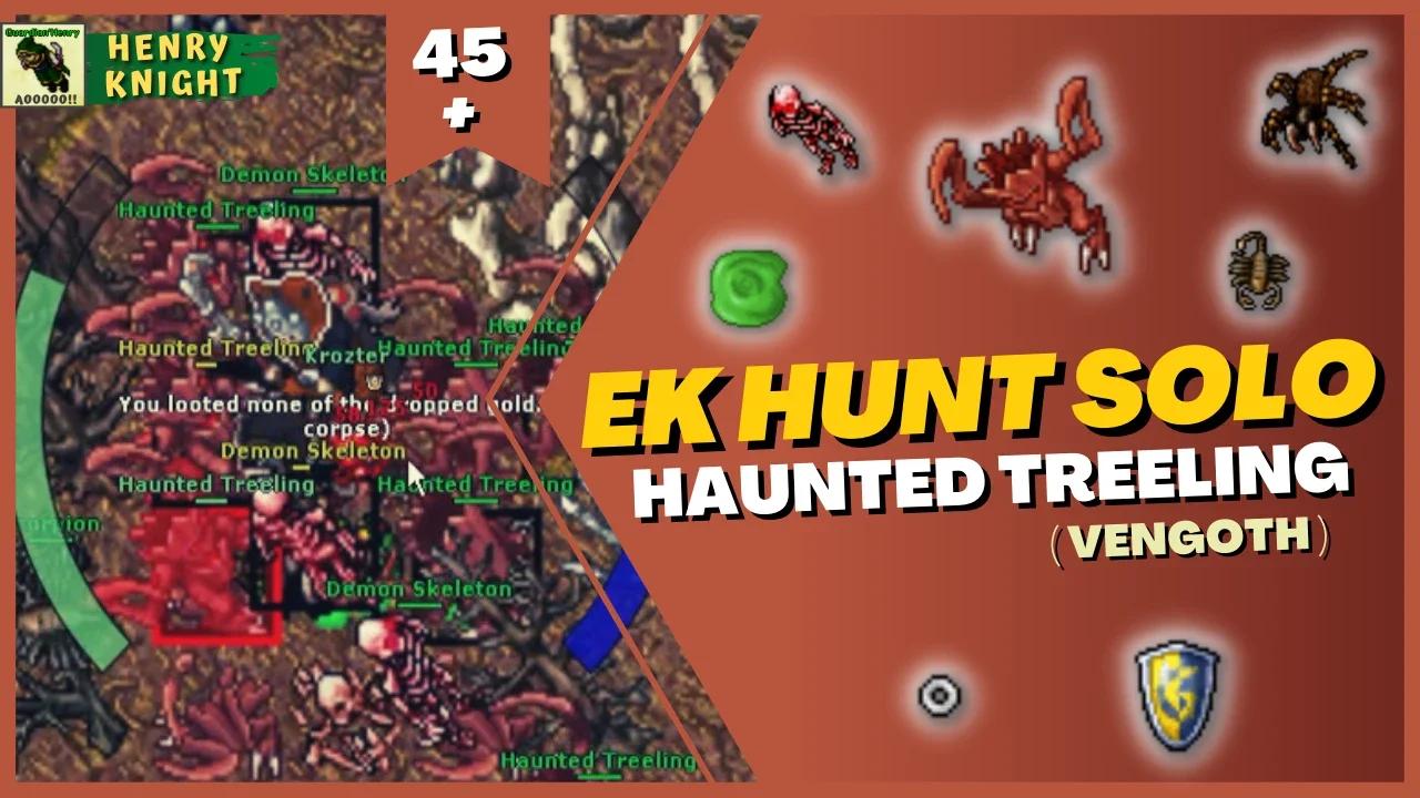 TIBIA: EK HUNT SOLO #116 HAUNTED TREELING (VENGOTH)